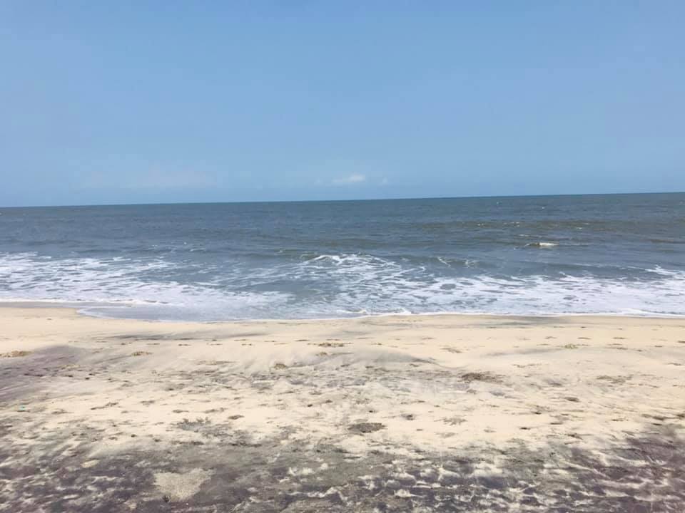 Thottappally Beach, Alleppey, Kerala, Tourism, 2021 | Beach, How to ...