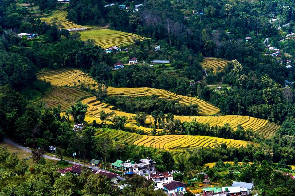 Aritar, sikkim Tourism 2021 | How to reach, Best Places to visit ...