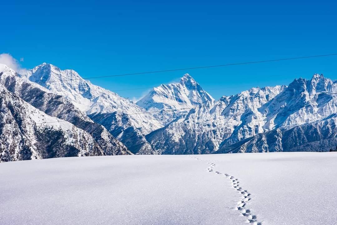 Trekking, Auli, Uttarakhand, Tourism, 2021 | Trekking, How to reach ...