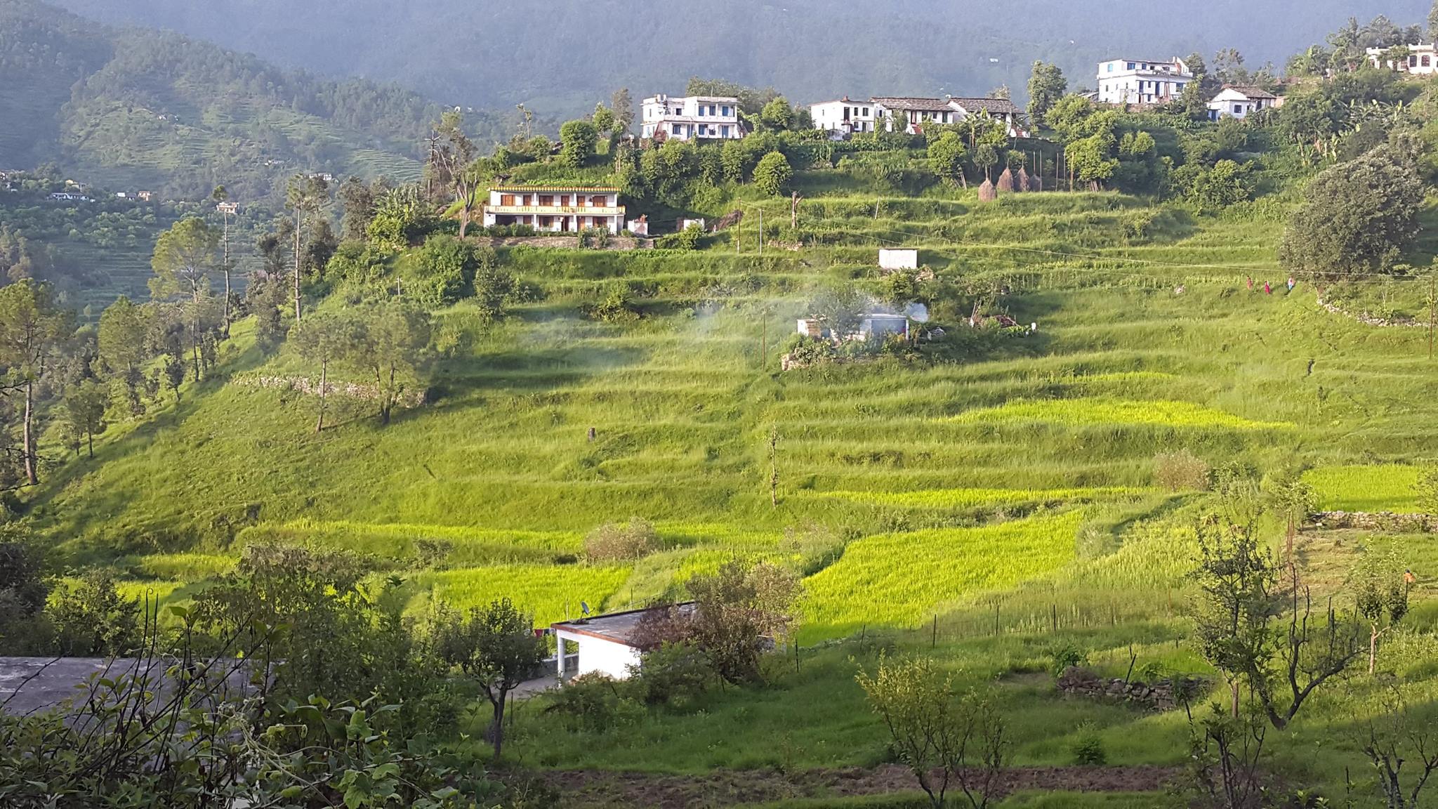 Binsar Valley, Uttarakhand, India Tourism 2022 | Peak, Scenic Beauty ...