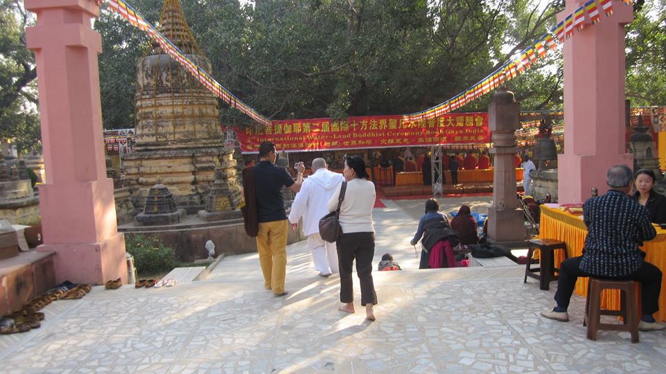 Ajapala Nigrodha Tree, Bodh Gaya, Bihar, Tourism, 2023 | How to reach ...