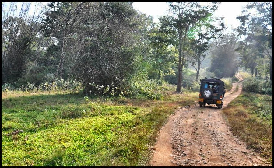 Kutta, Coorg, Karnataka, Tourism, 2022 | How to reach Kutta, Village ...