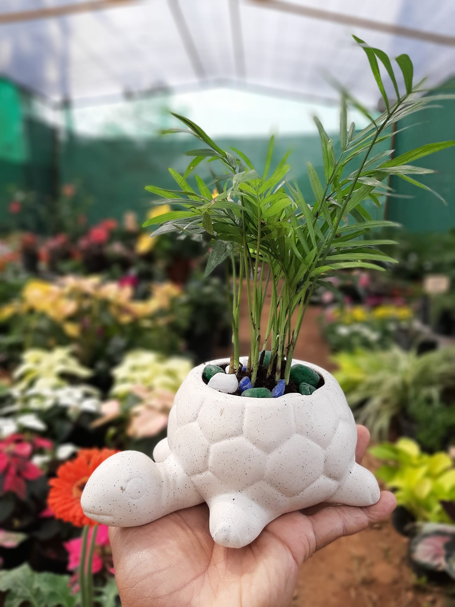 Somwarpet, Coorg, Karnataka, Tourism, 2022 | How to reach Somwarpet ...