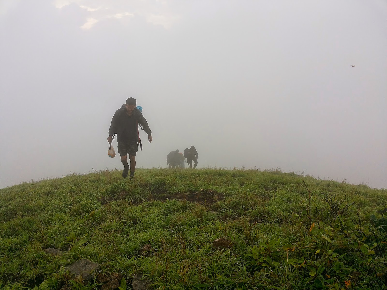 Tadiandamol Peak, Coorg, Karnataka, Tourism, 2022 | How to reach ...