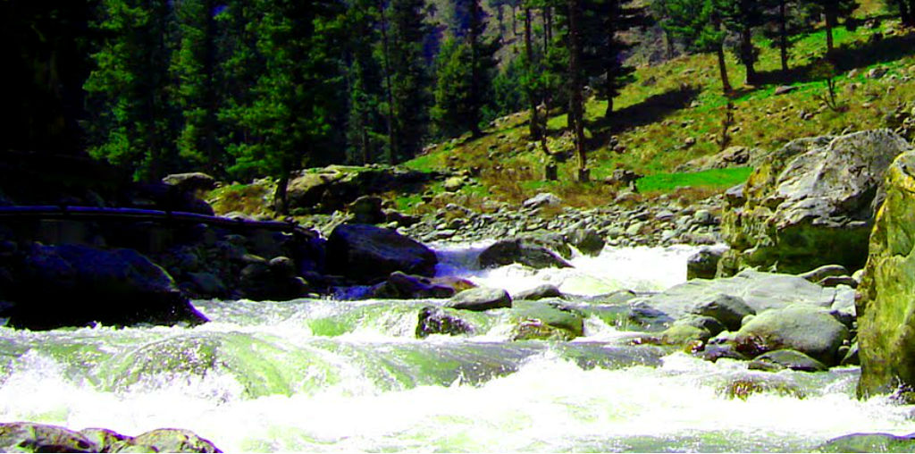 Ningli Nalla, Gulmarg, Jammu and Kashmir, Tourism, 2021 | How to reach ...