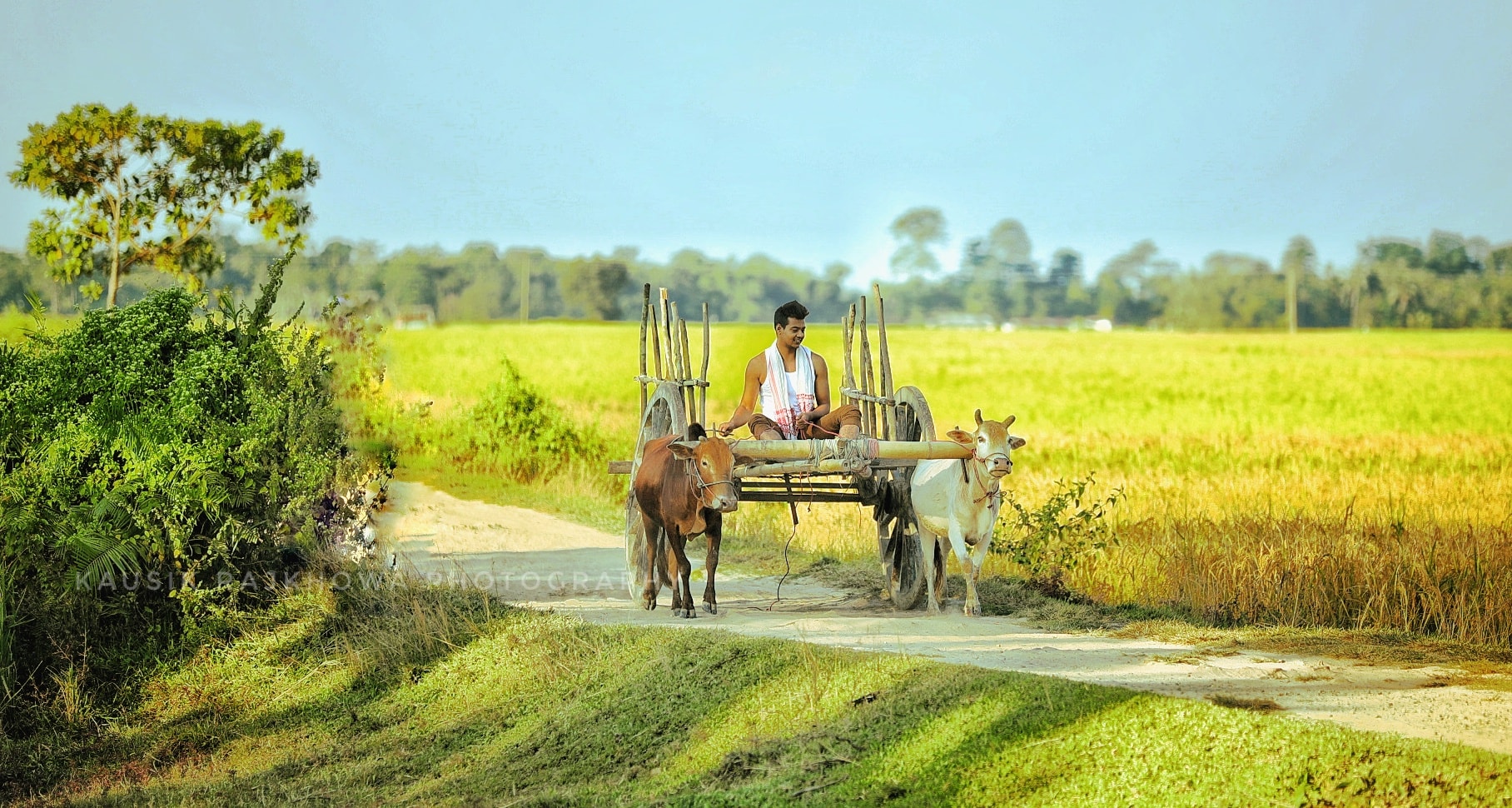Nimati, Jorhat, Assam Tourism 2021 | How to reach, Best Places to visit ...