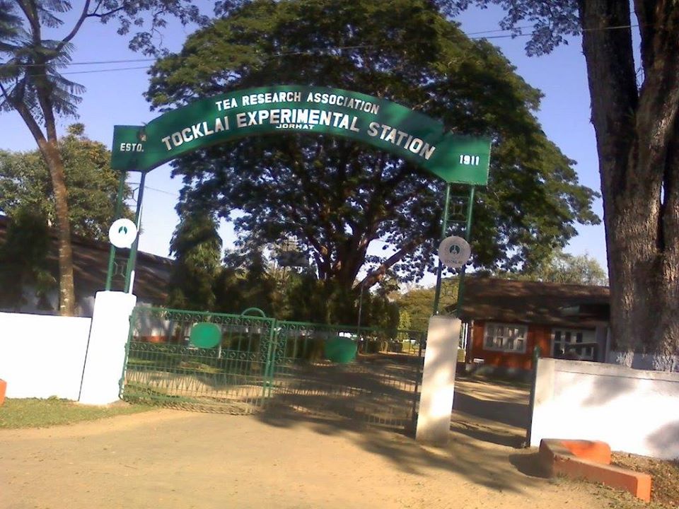 Tocklai Tea Centre, assam Tourism 2021 | How to reach, Best Places to ...