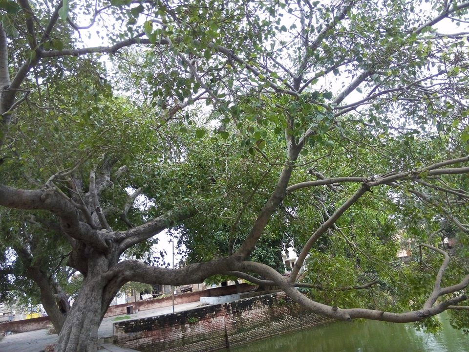 Phalgu Tirtha, Kurukshetra, Haryana Tourism 2021 | Religious, Images ...