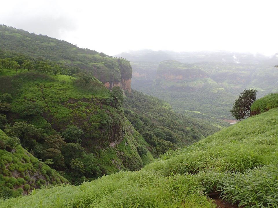 Andharban, Lonavala, Maharashtra, Tourism 2022 | Forest, how to reach ...