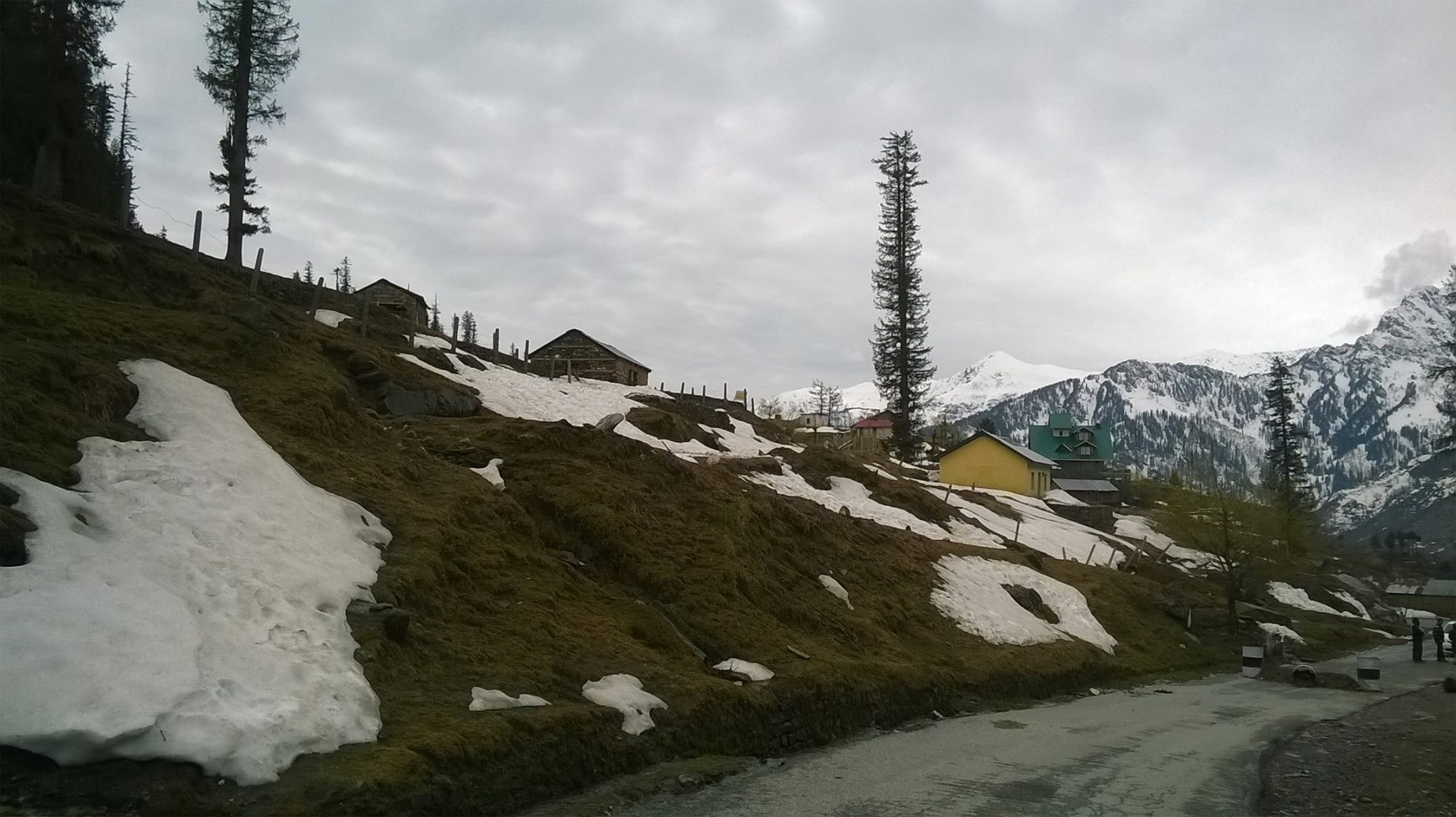Kothi Village, Manali, Himachal Pradesh, Tourism, 2021 | How to reach ...