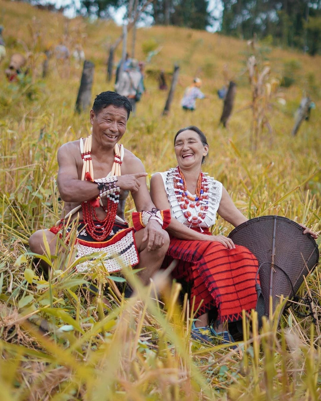 Mokokchung, Nagaland, India, Tourism, 2021 | How to reach Mokokchung ...