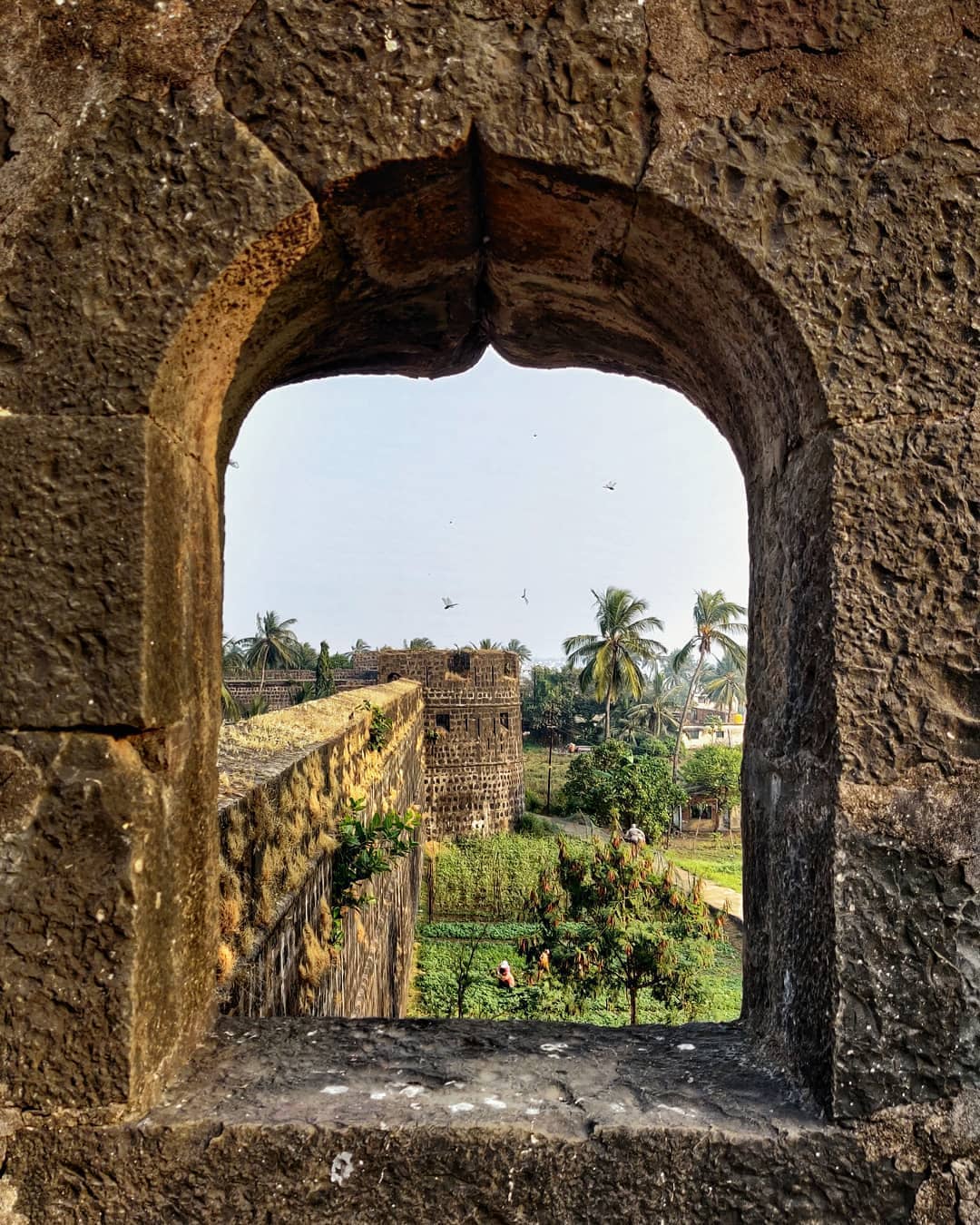Arnala Fort, Mumbai, Maharashtra, Tourism, 2021 | Fort, How to reach ...