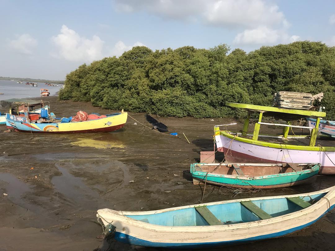 Panju Island, Mumbai, Maharashtra, Tourism, 2021 | Island, How to reach ...
