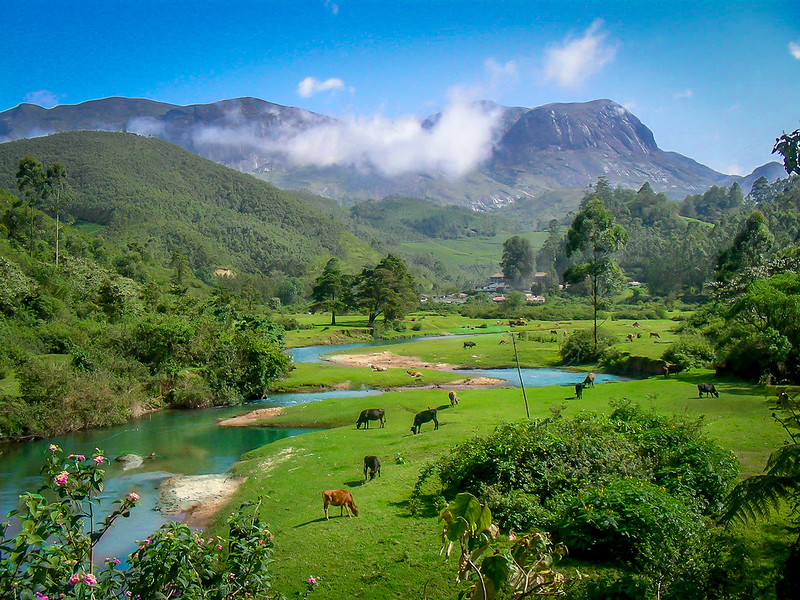 Anamudi Peak, Munnar, Kerala Tourism 2021 | Peak, Images, How to reach ...