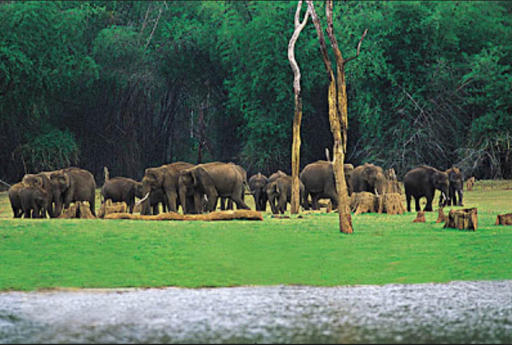 Chinnar Wildlife Sanctuary, Munnar, Kerala Tourism 2021 | Sanctuary ...