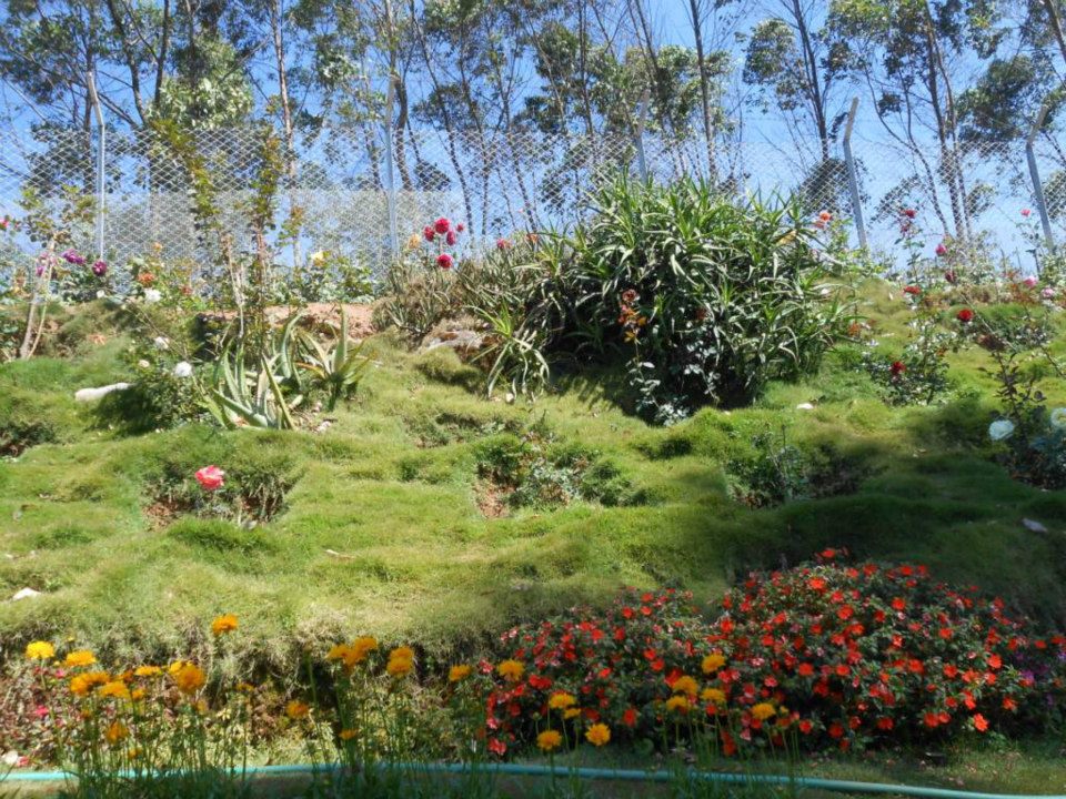 Rose Garden, Munnar, Kerala Tourism 2022 | Garden, Images, how to reach ...