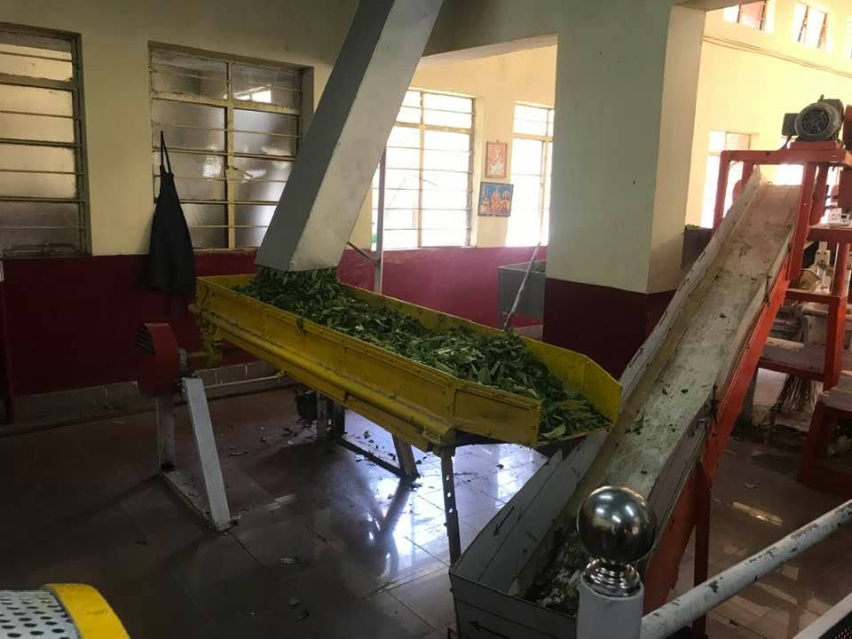 Tata Tea or KDHP Museum, Munnar, Kerala Tourism 2021 | Museums ...