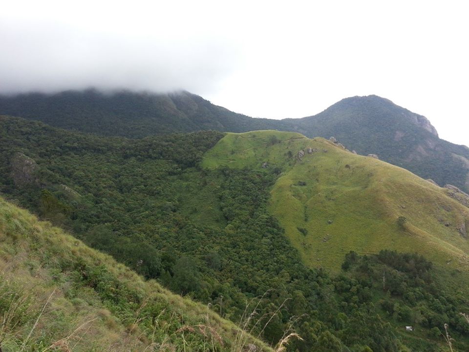 Top Station, Munnar, Kerala Tourism 2021 | Peak, Images, How to reach ...