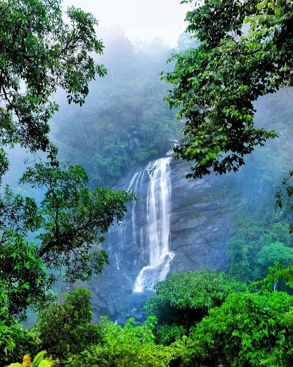 Valara Falls, Munnar, Kerala Tourism 2021 | Water Fall, Images, How to ...