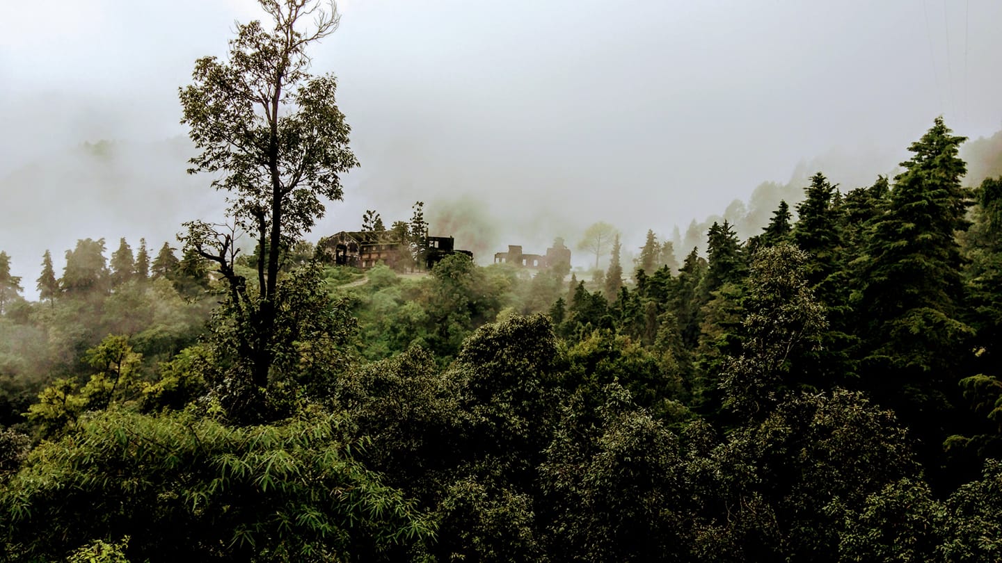 Lambi Dehar Mines, Mussoorie, Uttarakhand, Tourism, 2021 | How to reach ...