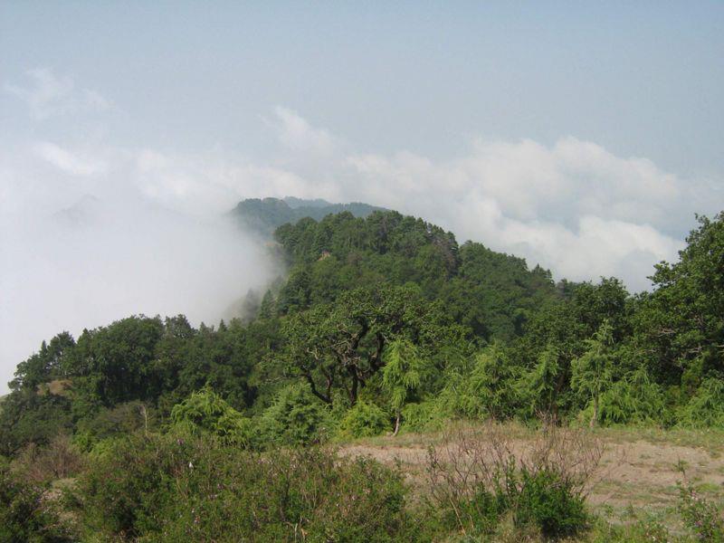 Naina Peak, Nainital, Uttarakhand, Tourism, 2021 | Peak, Hill, Photos ...