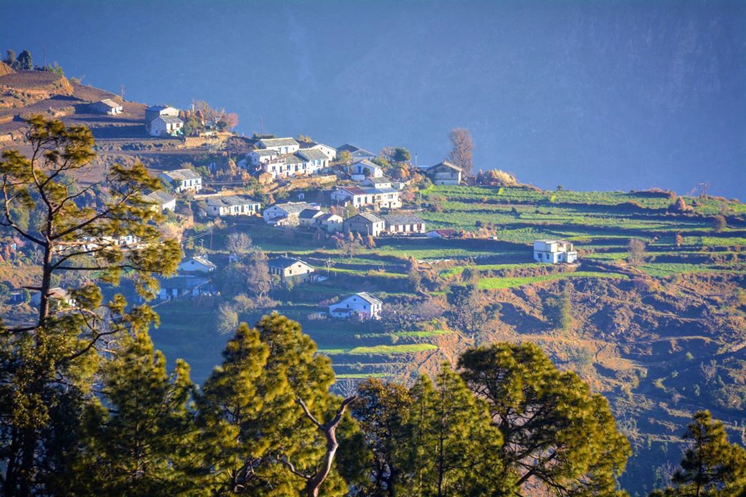 Pangot, Nainital, Uttarakhand, Tourism, 2023 | Village, Scenic Beauty ...