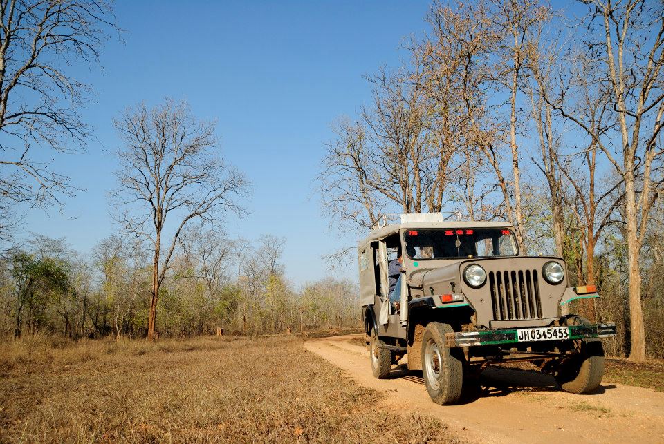 Jeep Safari, Betla National Park, Netarhat, Tourism, 2022 | Safari ...