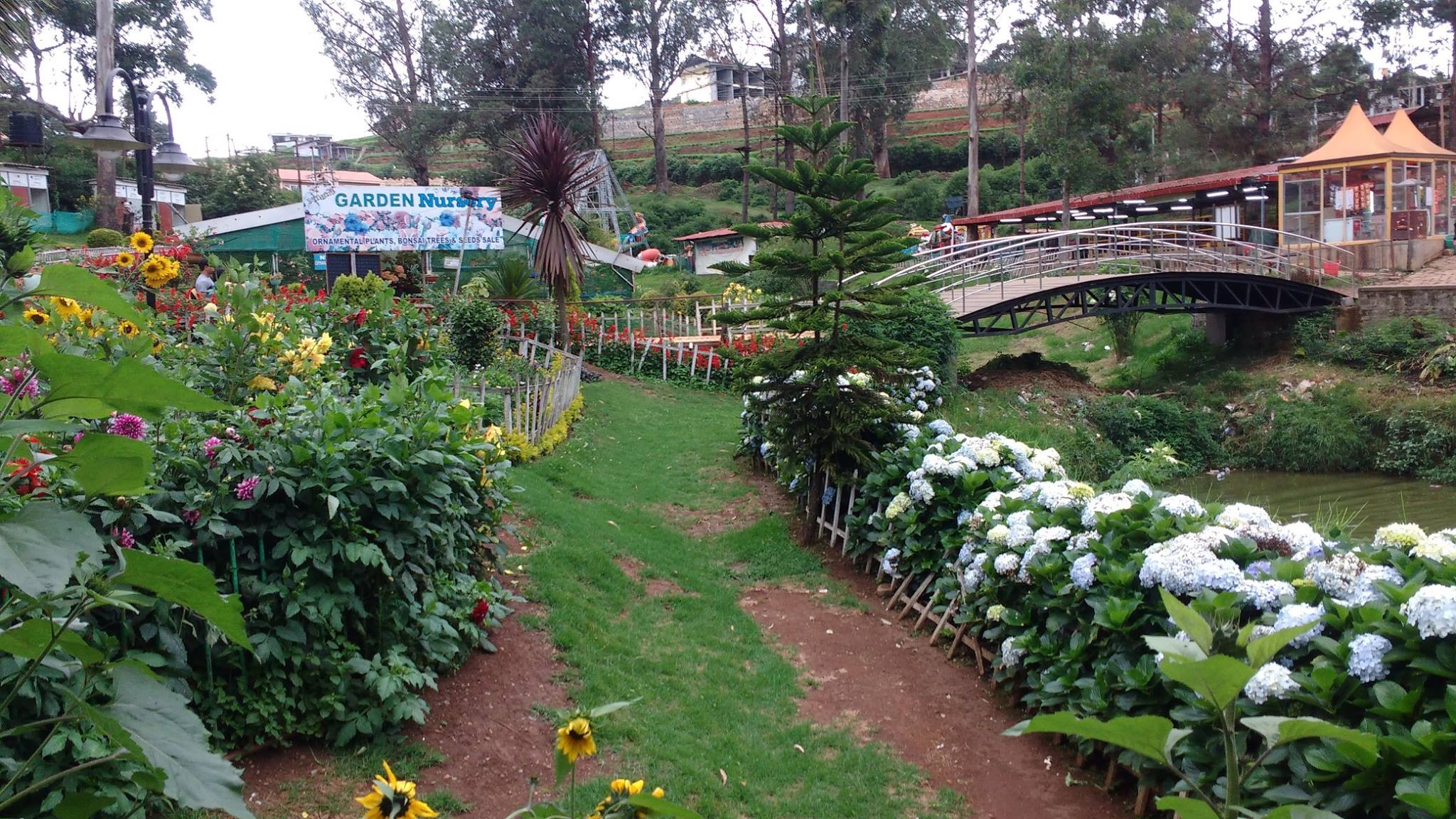 Lake Park, Ooty, Tamil Nadu, Tourism, 2021 | Water Park, How to reach ...