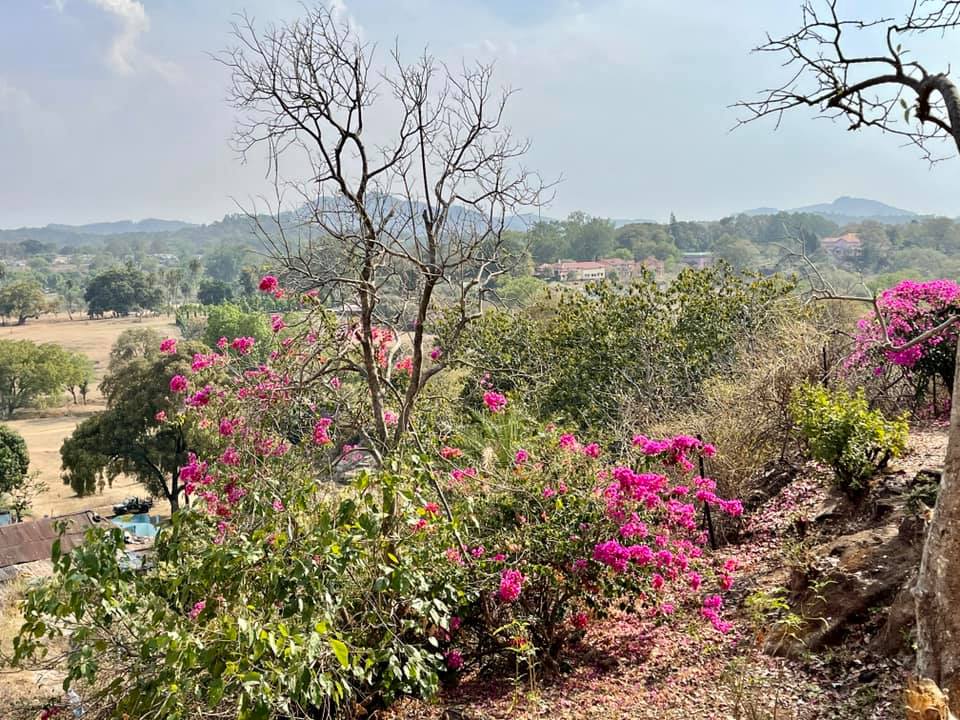 Pachmarhi, Madhya Pradesh, India Tourism 2021 | Hill Stations, Best ...