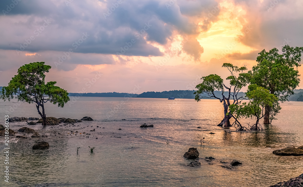 Chidiya Tapu, Port Blair, Andaman And Nicobar Islands Tourism 2022 ...