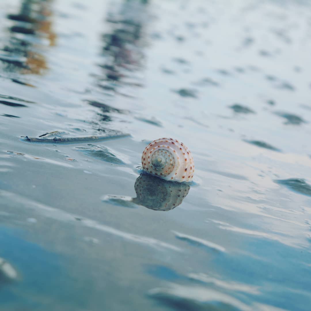 Baleshwar Beach, odisha Tourism 2021 | How to reach in Baleshwar Beach ...