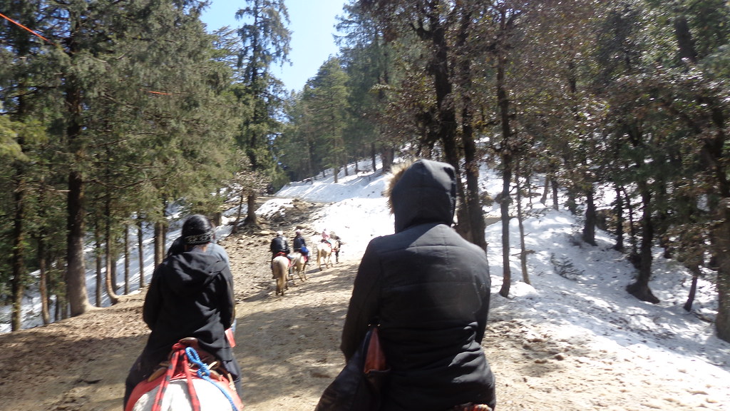 Horse Riding, Shimla, Himachal Pradesh, Tourism, 2021 | Horse Riding ...