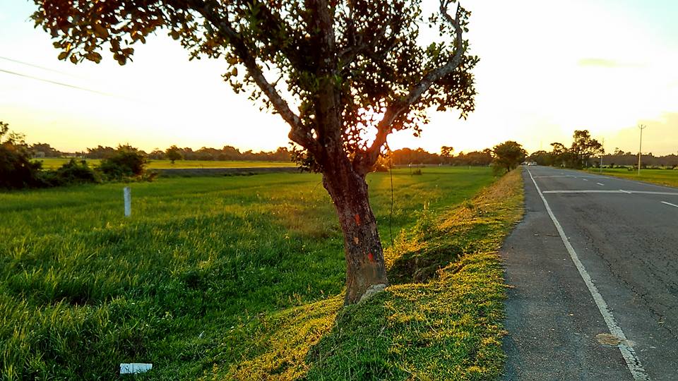 Digboi, assam Tourism 2021 | Oil Refineries, How to reach in Digboi ...