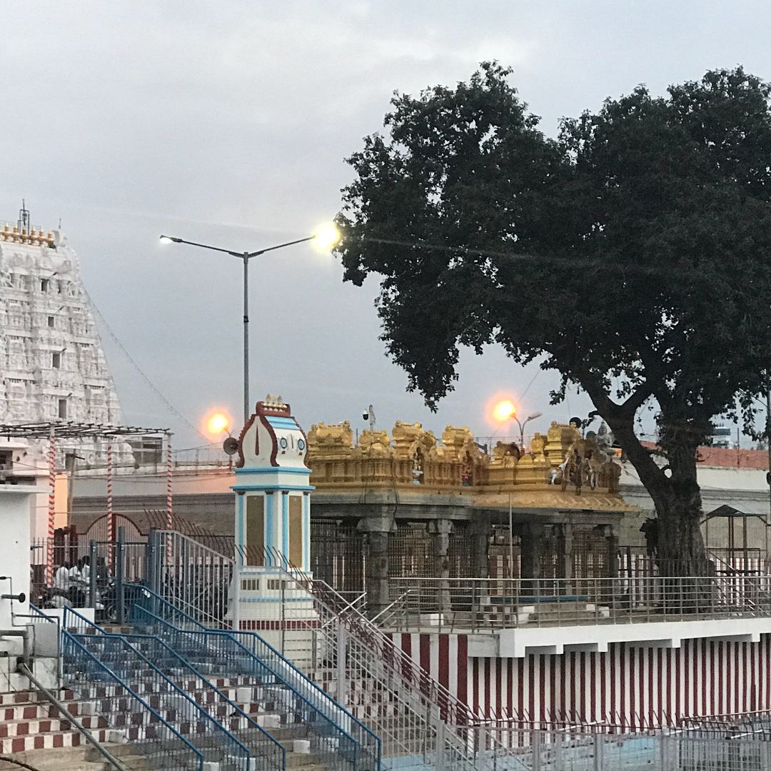 Sri Padmavathi Ammavari Temple, Tirupati, Andhra Pradesh, Tourism, 2021 ...