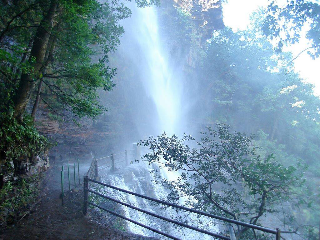 Talakona Waterfall, Tirupati, Andhra Pradesh, Tourism, 2021 | Water ...