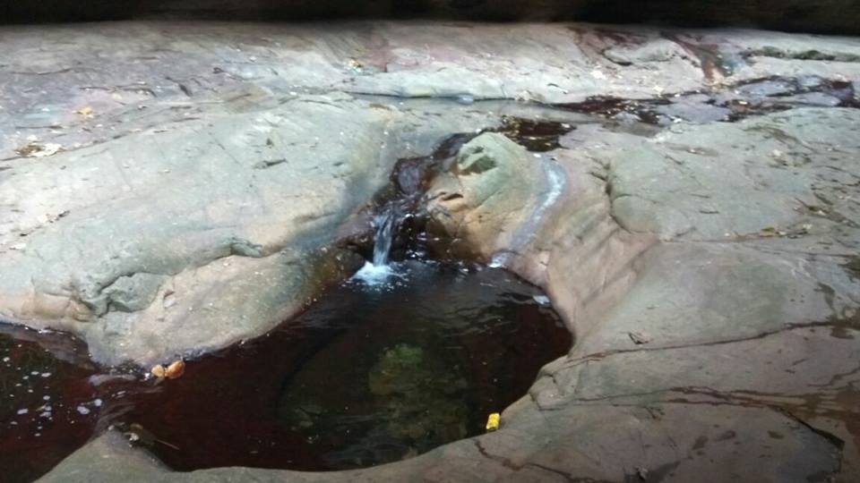 Tumburu Teertham, Tirupati, Andhra Pradesh, Tourism, 2021 | Lake, How ...