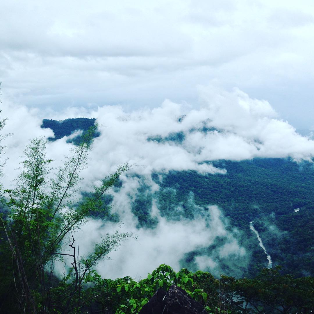 Neelimala Viewpoint, Wayanad, Kerala, Tourism, 2021 | Trekking, Photos ...