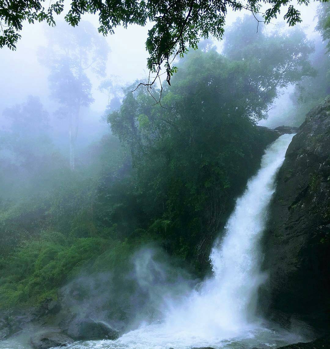 Soochipara Falls, Wayanad, Kerala Tourism 2022 | Water Fall, Things to ...