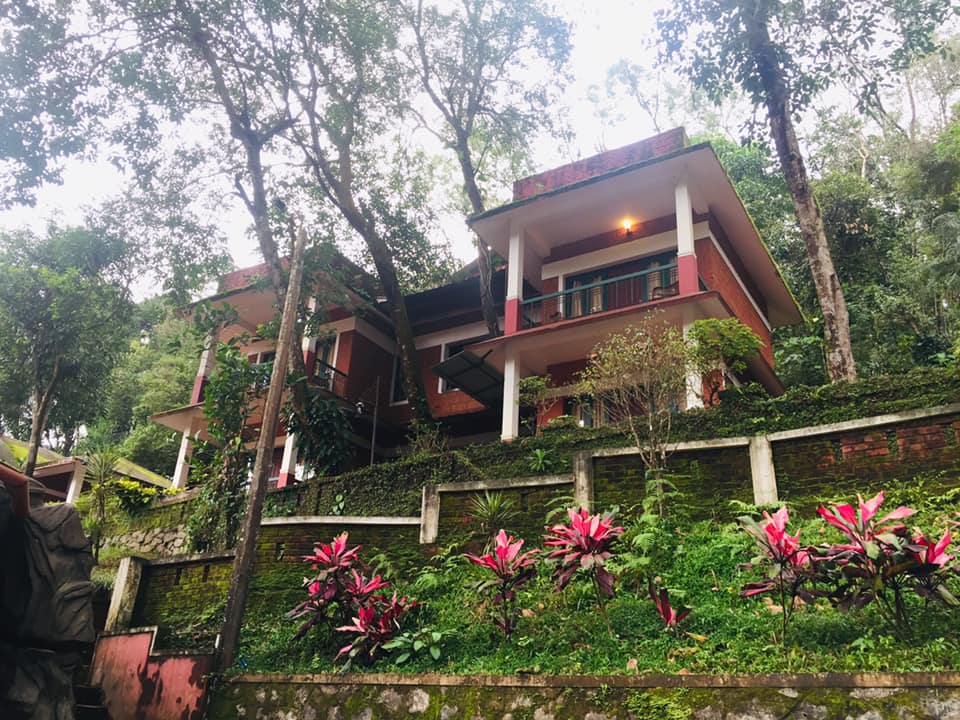 Stay in a Treehouse, Wayanad, Kerala, Tourism, 2021 | Unique, Resort ...