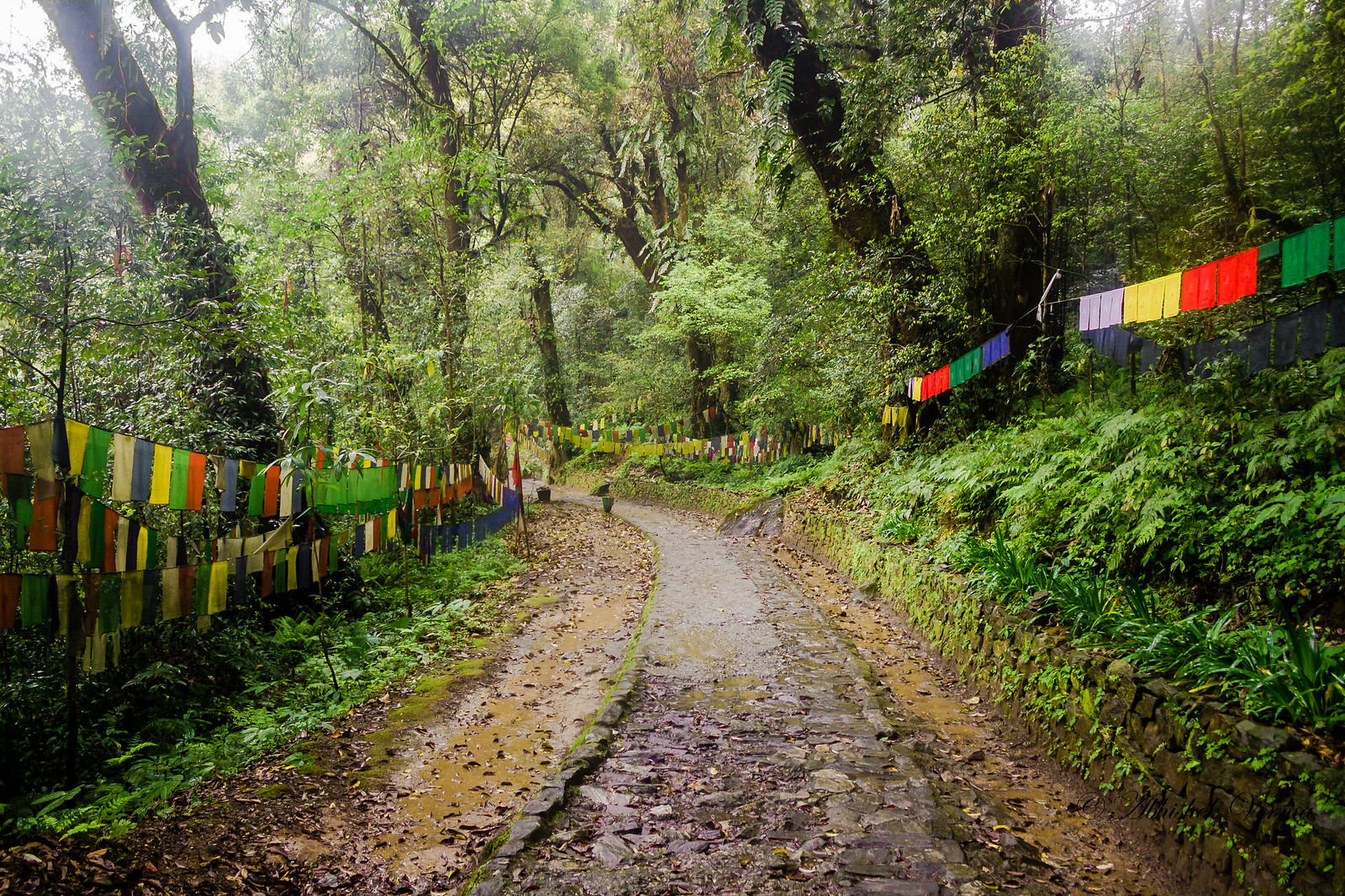 Yuksom, West Sikkim, Sikkim, Tourism, 2023 | How to reach Yuksom ...