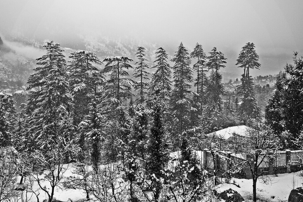 Snowfall flashed in Manali, Tourism, 2023 | What to do during Snowfall ...